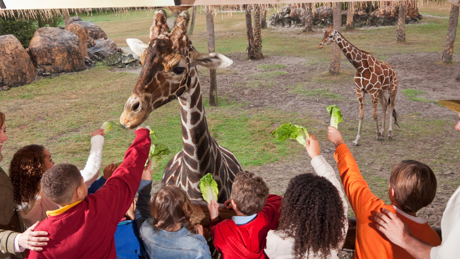 7 Experiential Learning Opportunities to Home School for Life - Covenant Journey Academy